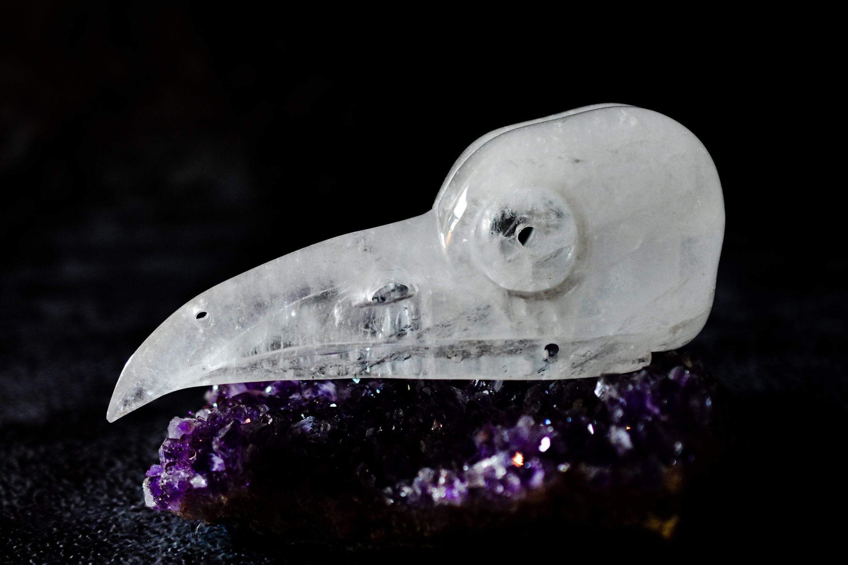 Quartz Raven Crystal Skull — Goldenhands
